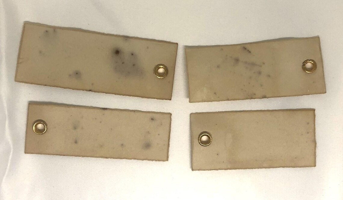 Wizard Witch Wand Label With Wand Details: Wand Core, Wand Wood, Wand ...