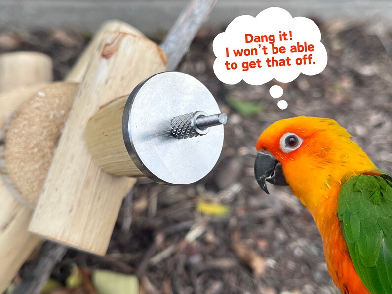 Natural Shreddable Yucca Wood Kebab Bird Toy for Conures Budgies and ...