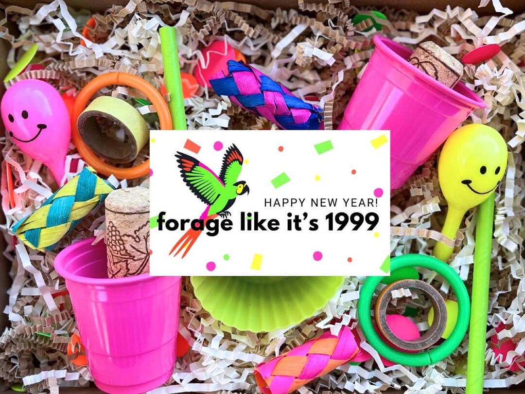 Forage Like It’s 1999 Foraging Box Bird Toy Activity Tray Preassembled ...