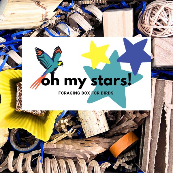 Parrot Toy Parts - Etsy