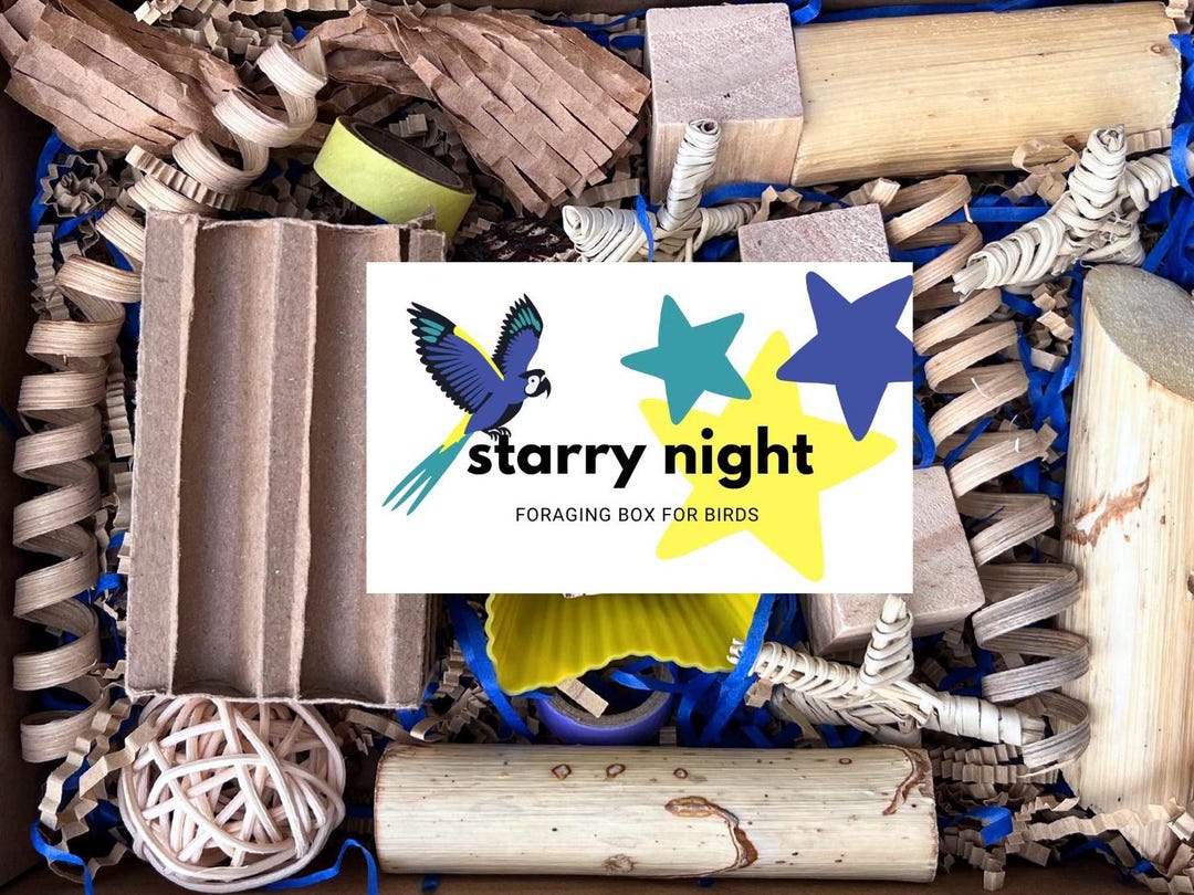 Starry Night Foraging Box Bird Toy Activity Pre Assembled Forage Box ...