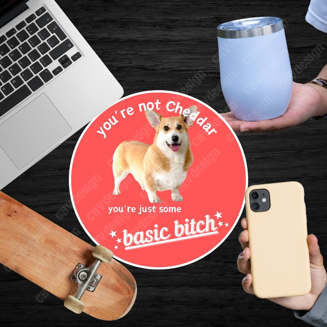 You're Not Cheddar Funny Brooklyn Nine-nine Captain Raymond Holt Laptop ...