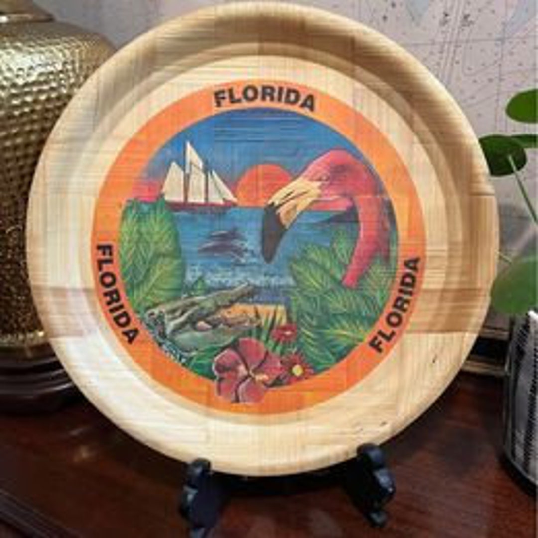 Vintage Florida Souvenir Plate Platter Tray Wicker - Etsy
