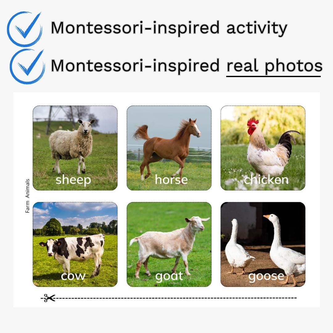 Montessori Animal Habitat Matching Activity for Toddlers, Kids ...