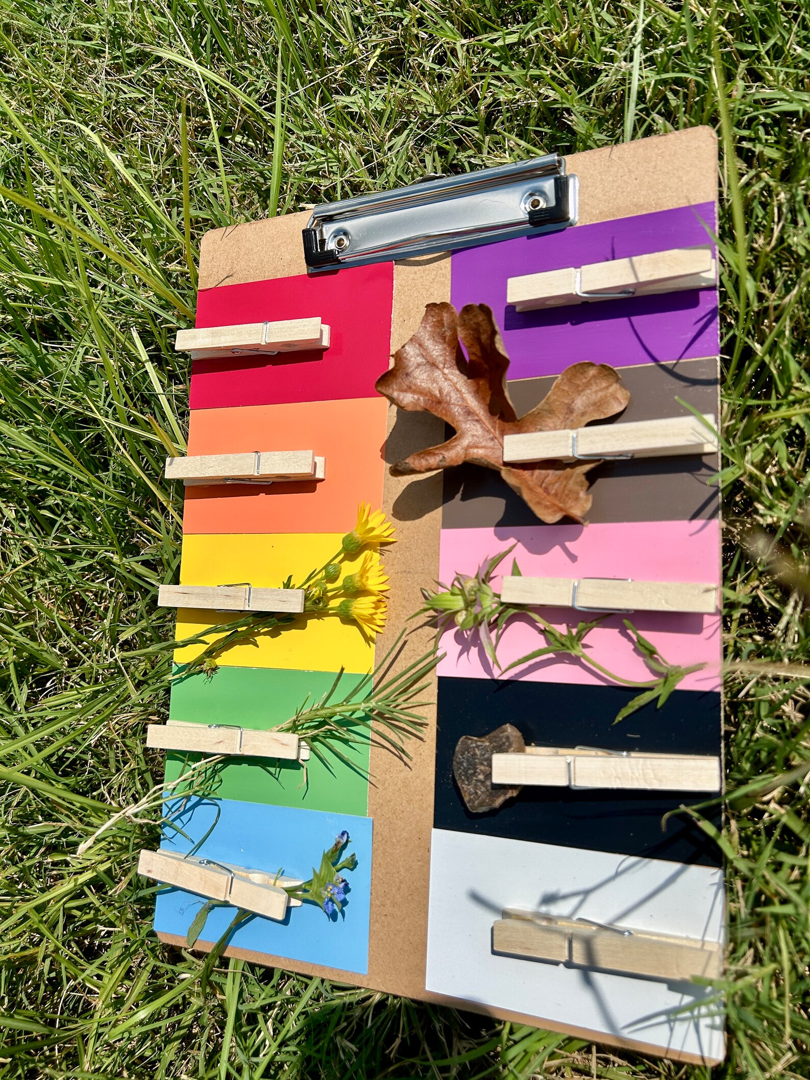 Nature Explorer Outdoor Kids Game, Family Outdoors Game, Nature ...