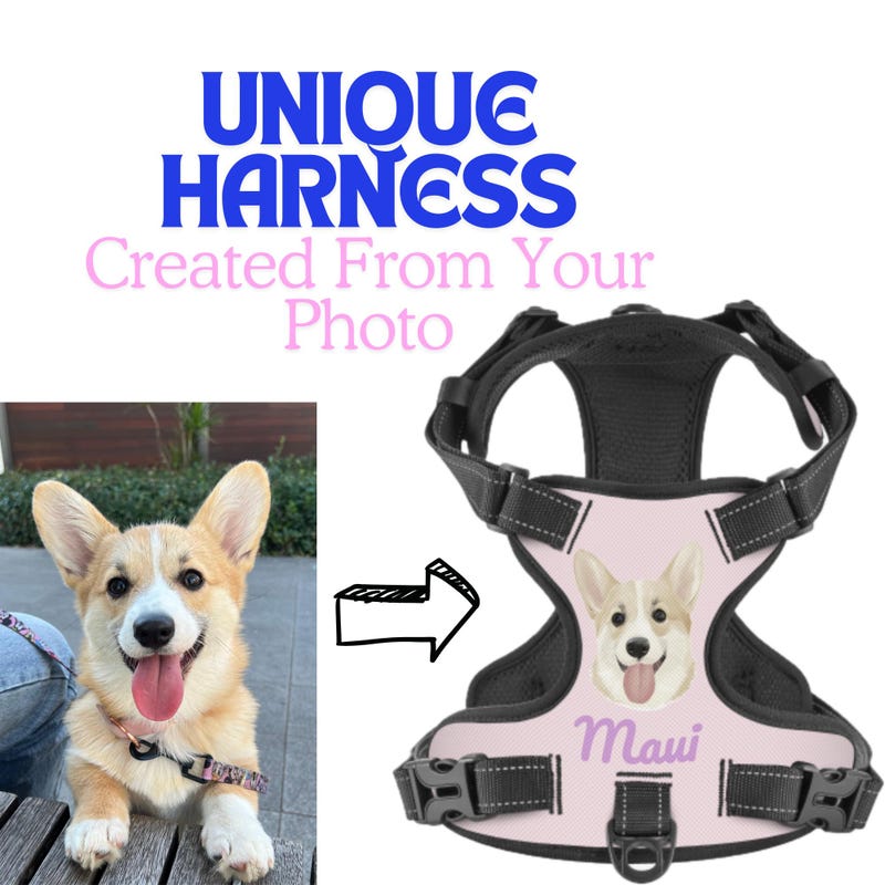 Face Harness - Etsy