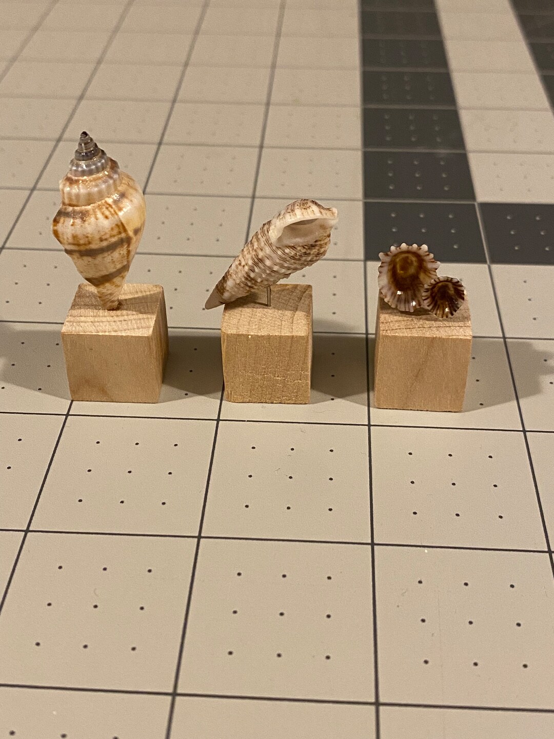 Mini Shell Sculptures for Your Dollhouse, Diorama, Book Nook, Fairy ...