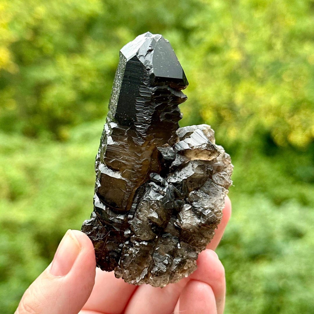 Dark Morion Smoky Quartz Scepter Cluster, Black Smoky Quartz Elestial ...