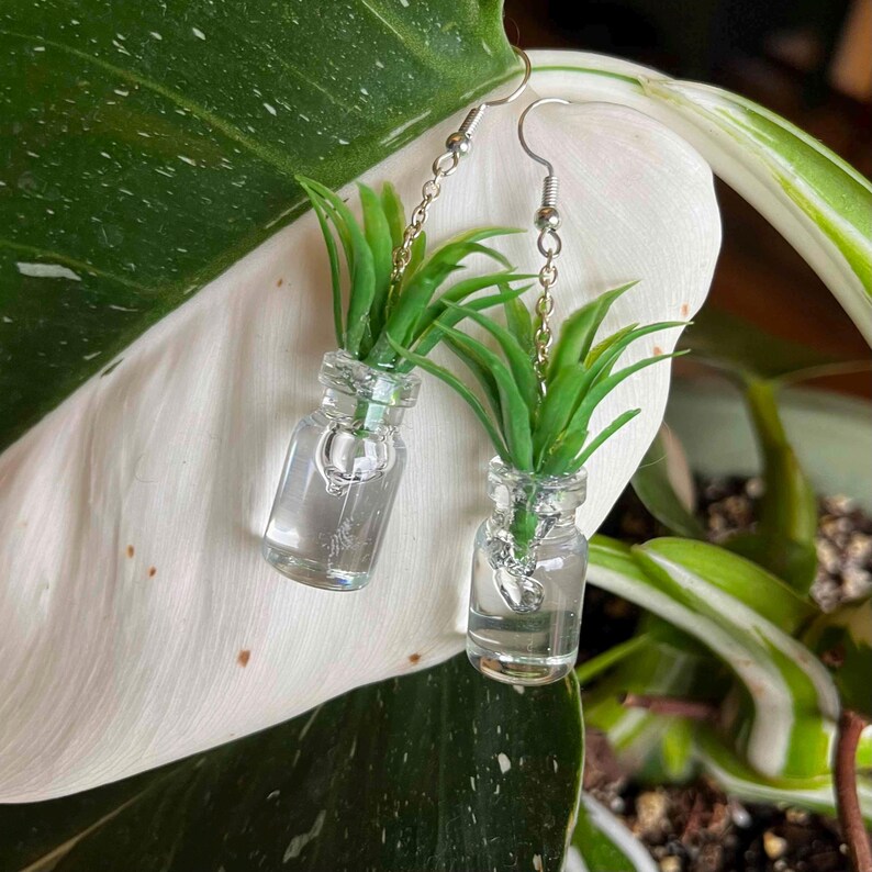 Aloe Vera Plant Propagation Earrings - Etsy