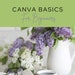 Canva Basics for Beginners | Create With Canva Tutorial | Design Like a ...