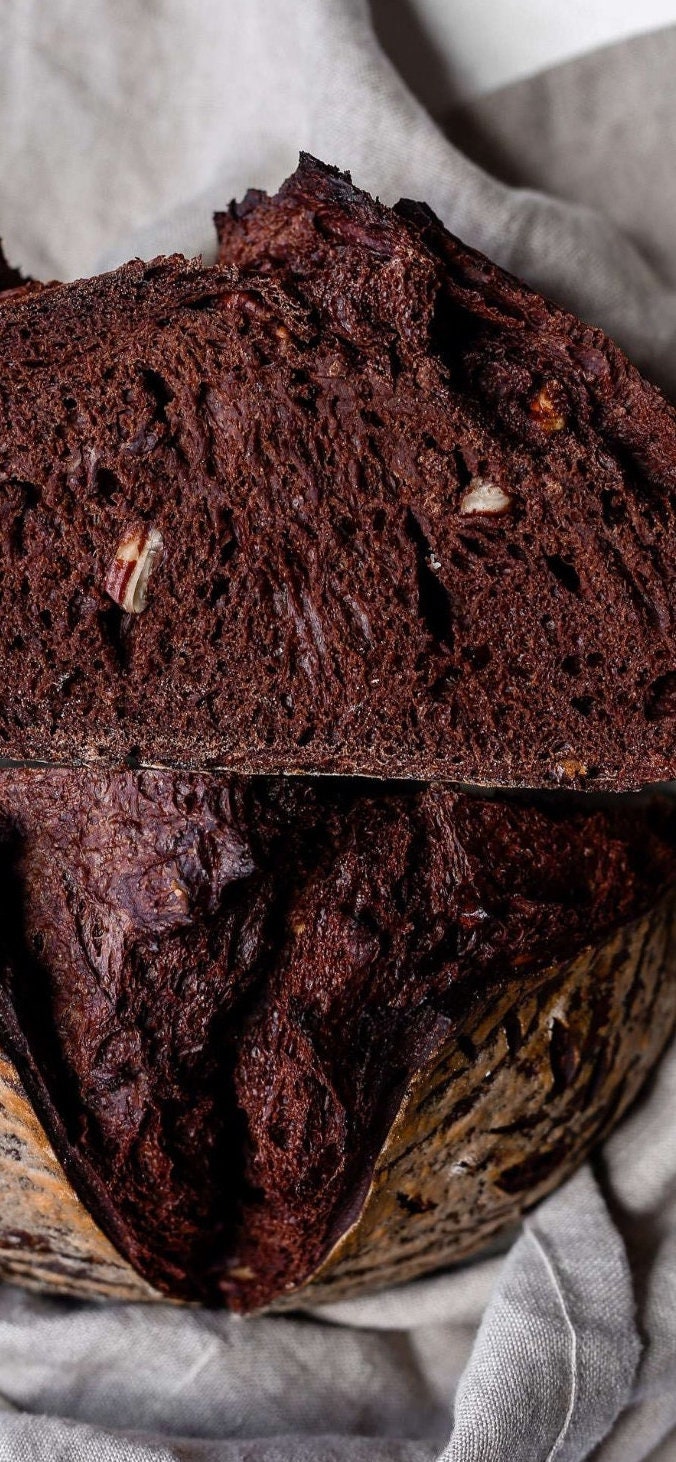 Dehydrated Chocolate Sourdough Starter Amish Friendship Bread With No ...