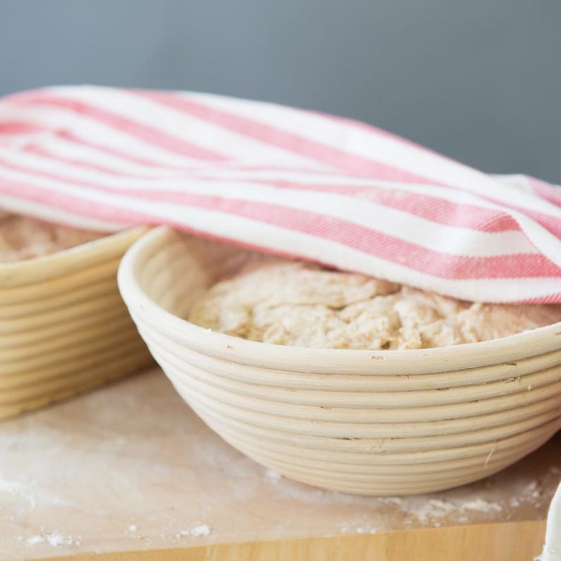 Dehydrated Herman Sourdough Starter Amish Friendship Bread With No ...