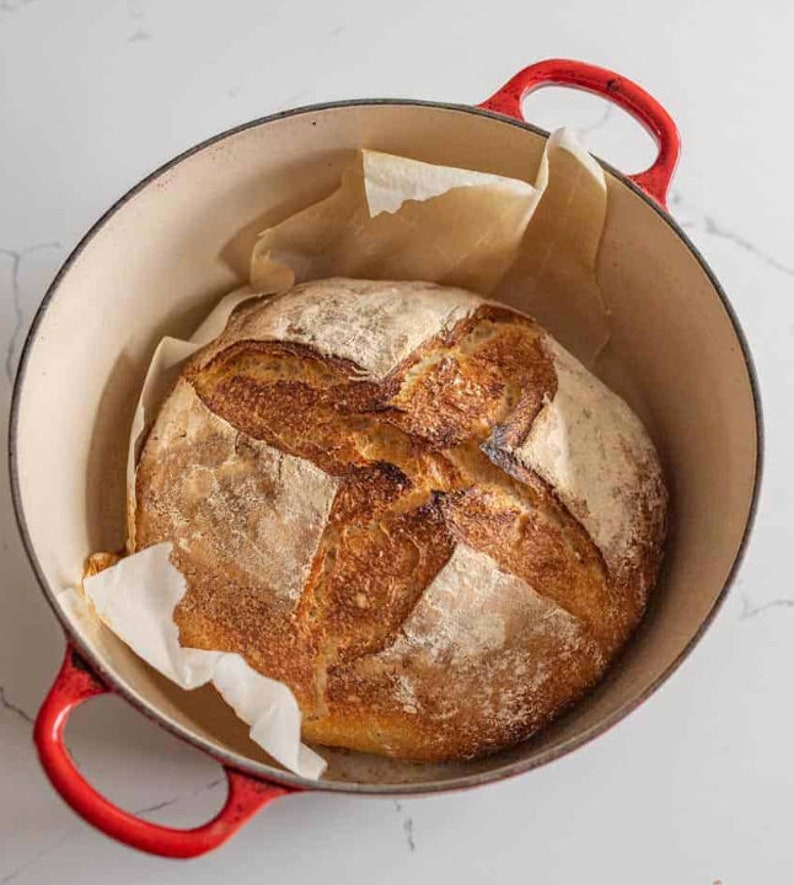 Dehydrated Herman Sourdough Starter Amish Friendship Bread With No ...