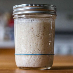 Dehydrated Herman Sourdough Starter Amish Friendship Bread With No ...
