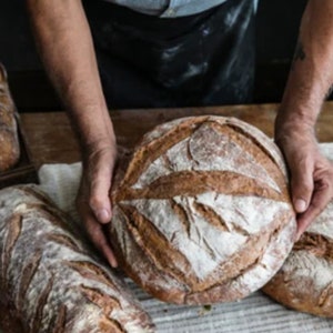 Dehydrated Herman Sourdough Starter Amish Friendship Bread With No ...