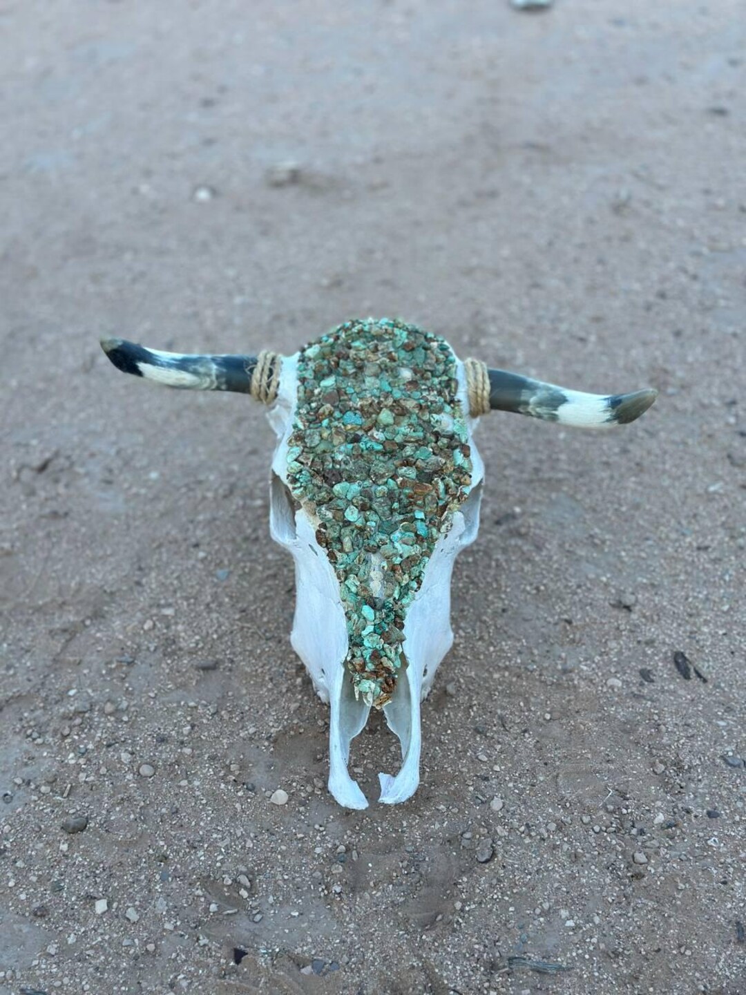 Turquoise Cow Skull - Etsy