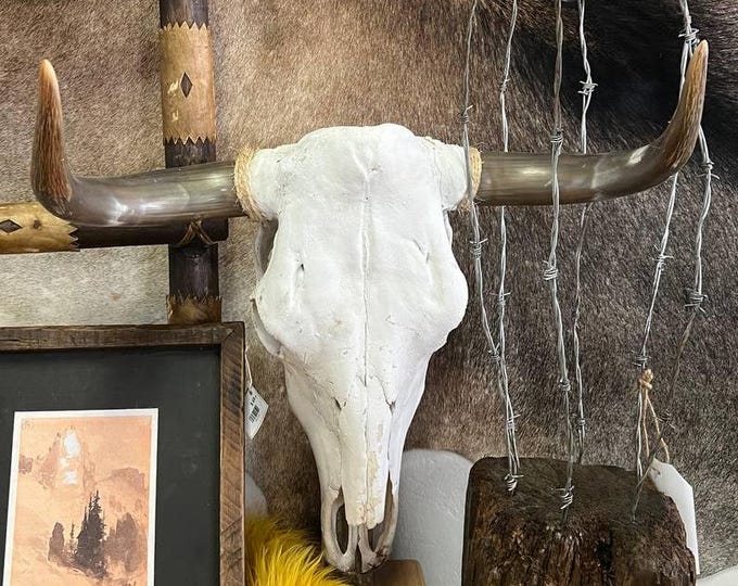 2 Steer Head Combo - Etsy