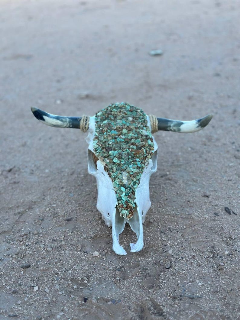 Turquoise Cow Skull - Etsy