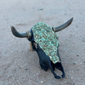 Turquoise Cow Skull - Etsy