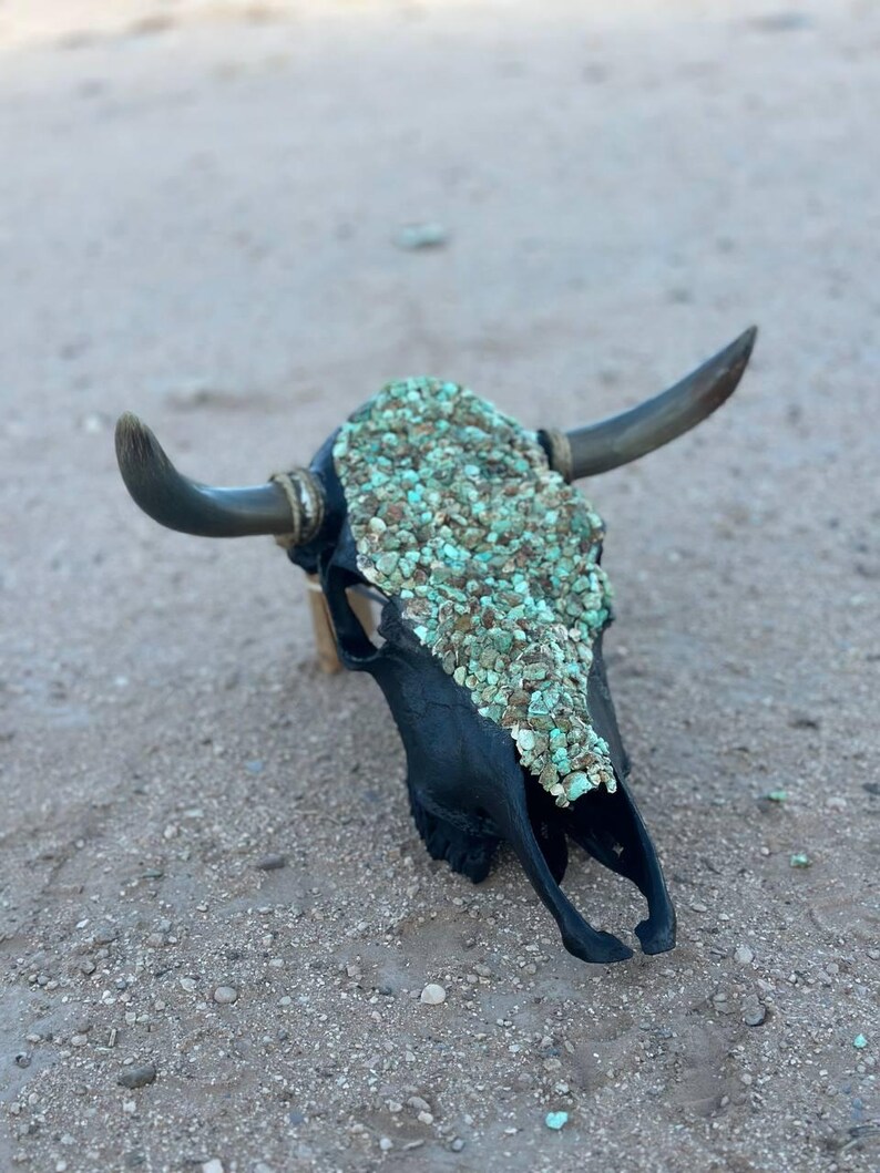 Turquoise Cow Skull - Etsy