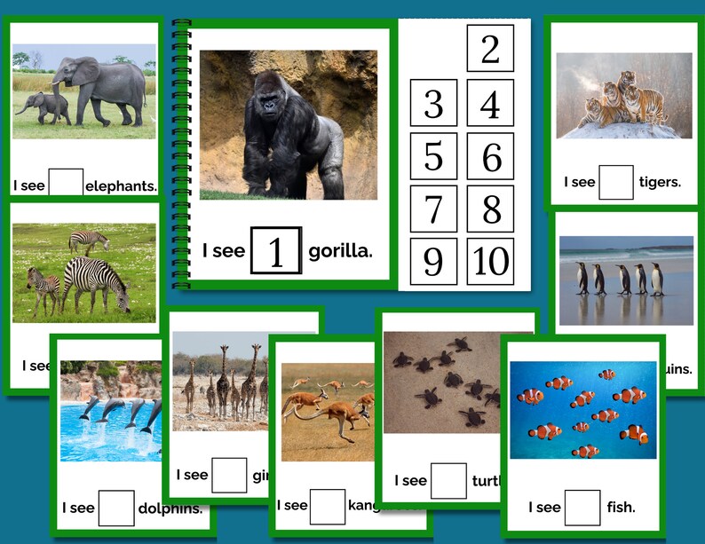 Adapted Book: I Can Count Wild Animals! (1-10) - Etsy