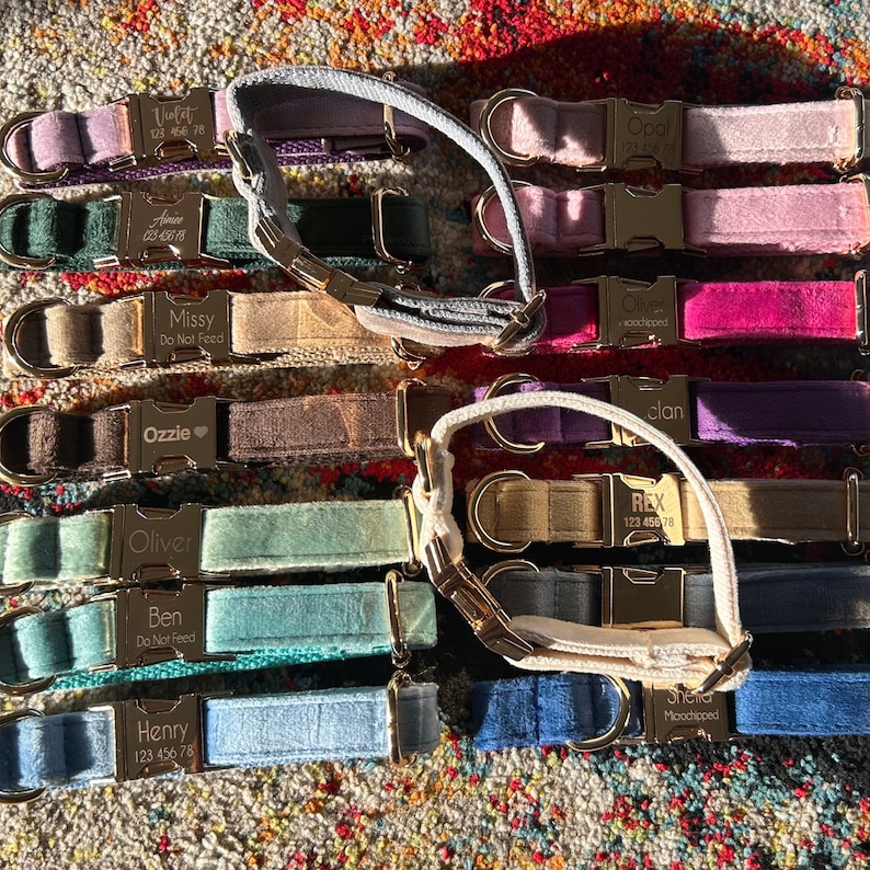 Velvet Personalised Dog Collar Leash Set Bow Pastel Colors Engraved Pet ...