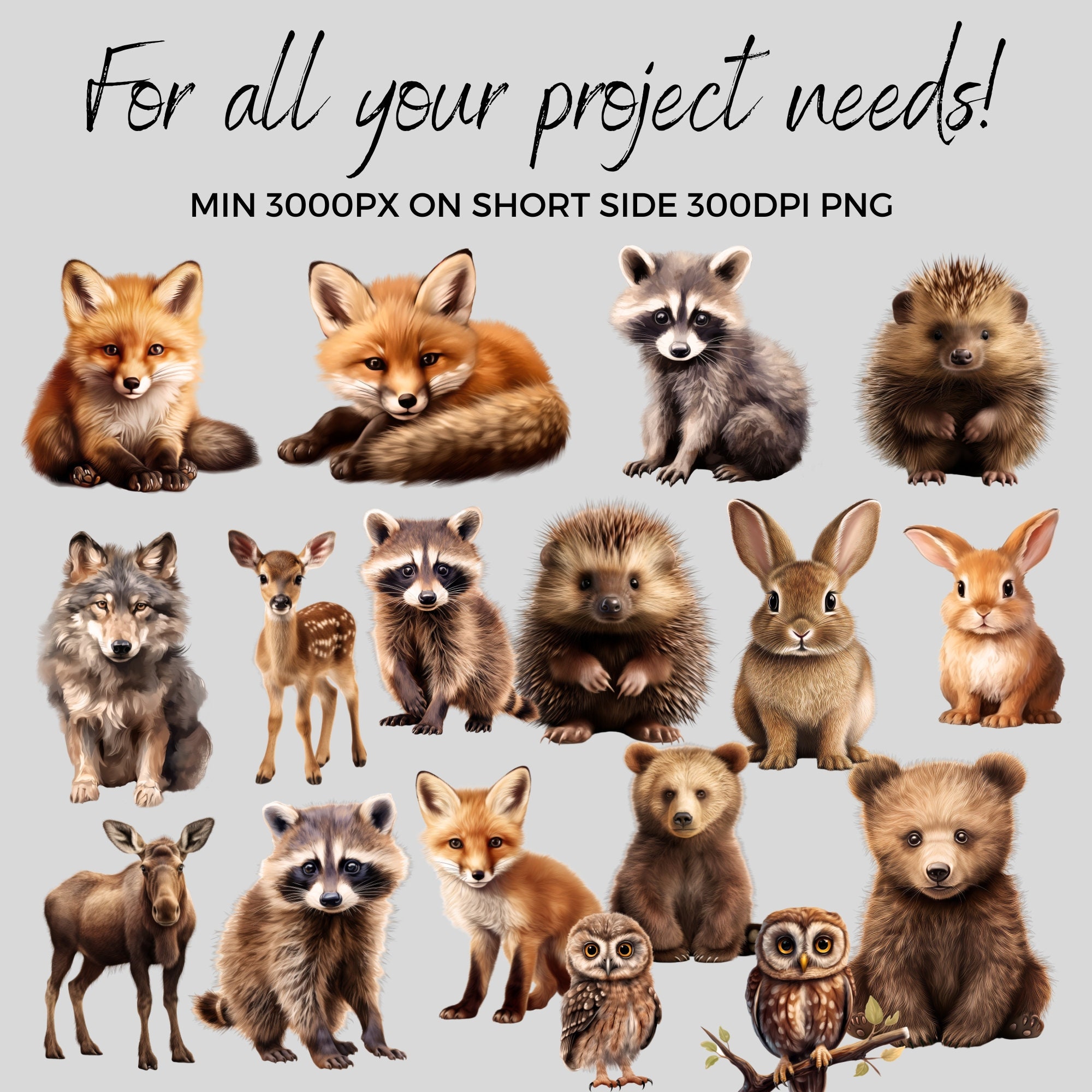 Woodland Animal Clipart-foxes, Bears, Racoon, Bunny, Owl, Deer, Moose ...