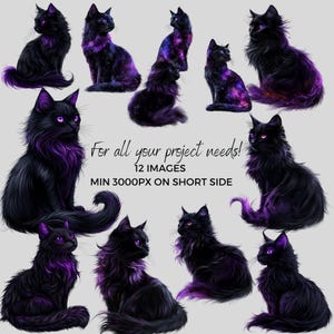 Mystical Black Cat Clipart- Magical Purple Witch Cat-spooky-magic ...
