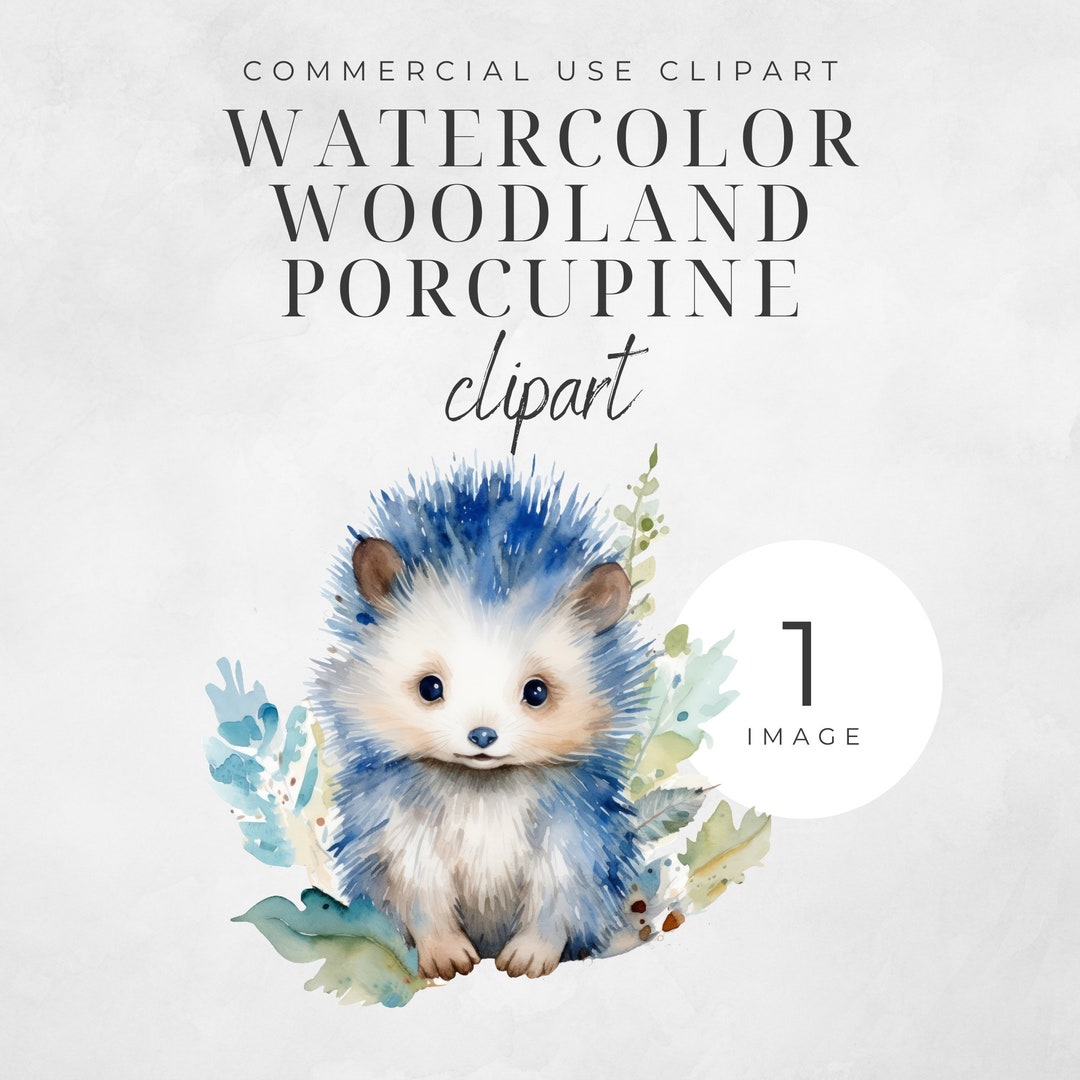 Watercolor Woodland Porcupine Clipart-single Image-woodland Creatures ...