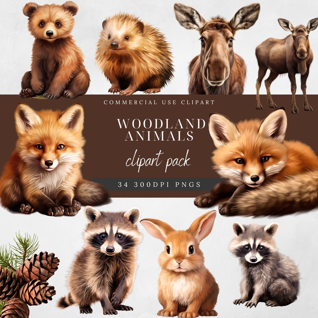 Woodland Animal Clipart-foxes, Bears, Racoon, Bunny, Owl, Deer, Moose ...