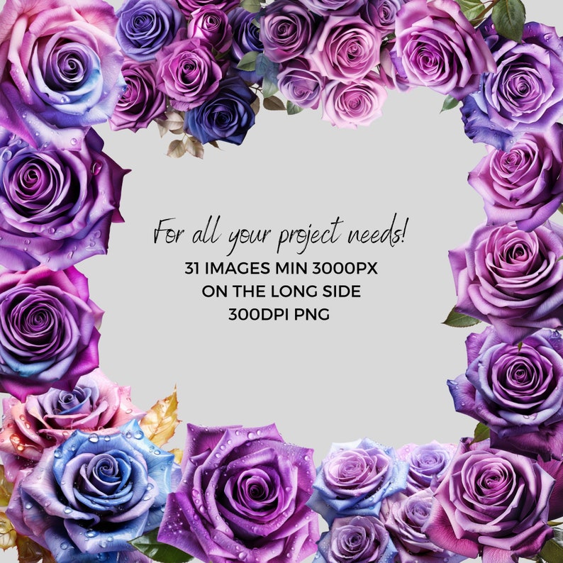 Pink and Purple Rose Clipart |hyper Realistic| Digital Download ...