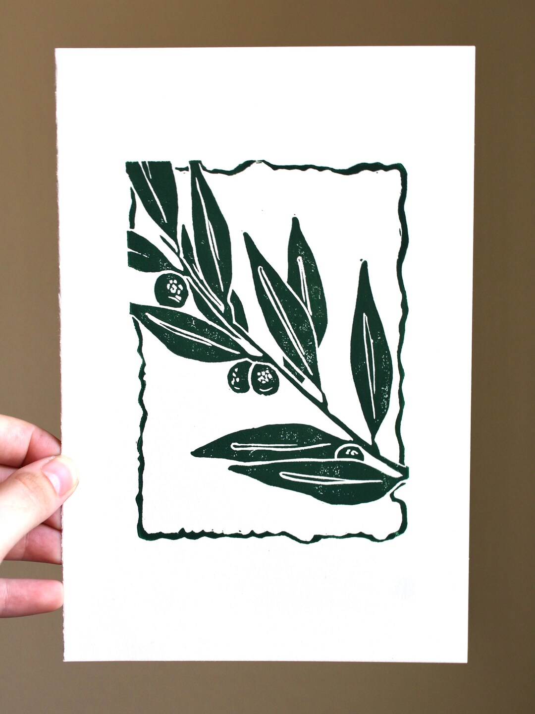 Olive Branch - Print - Etsy