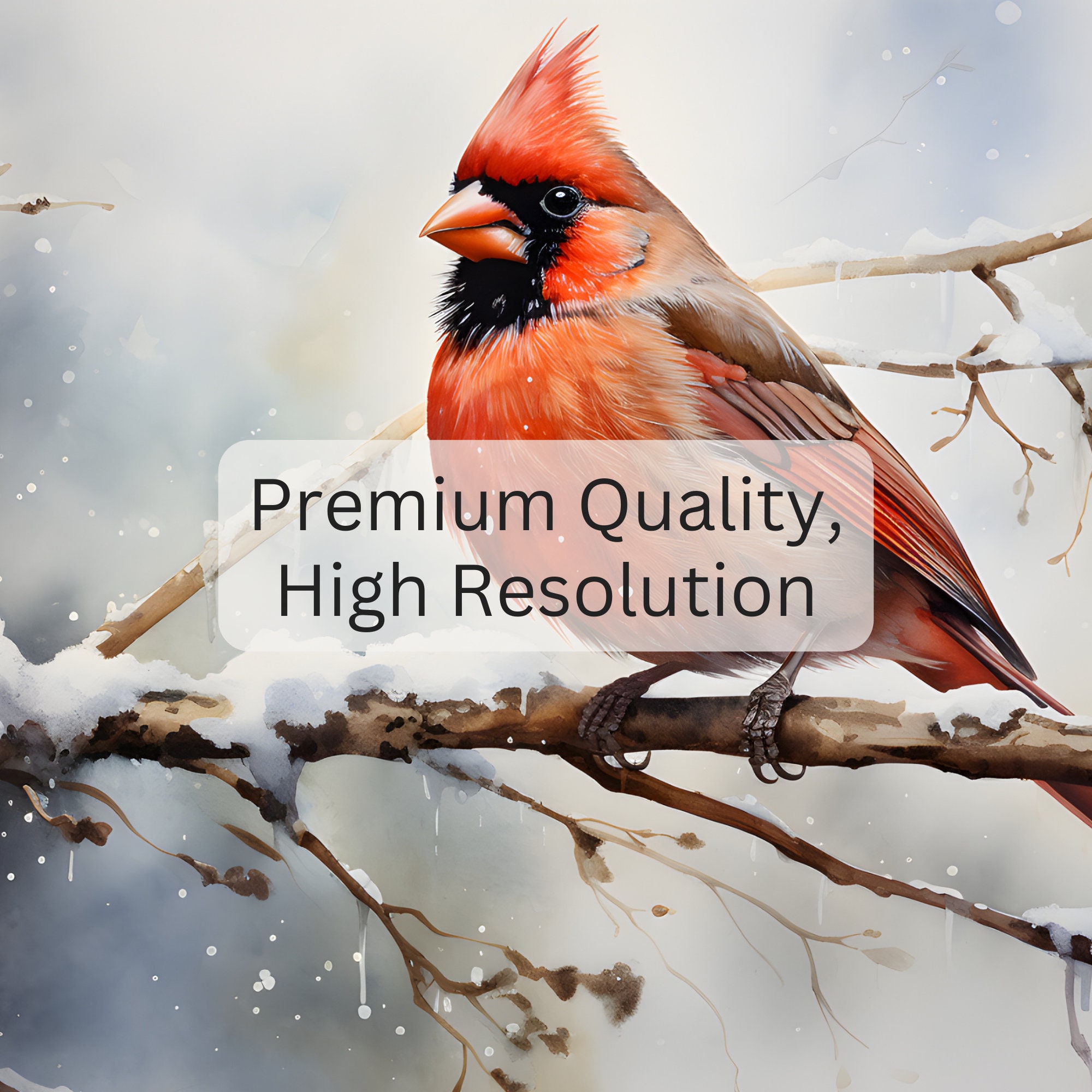Cardinal Bird Tv Art Digital Download, Winter Landscape Artwork With ...
