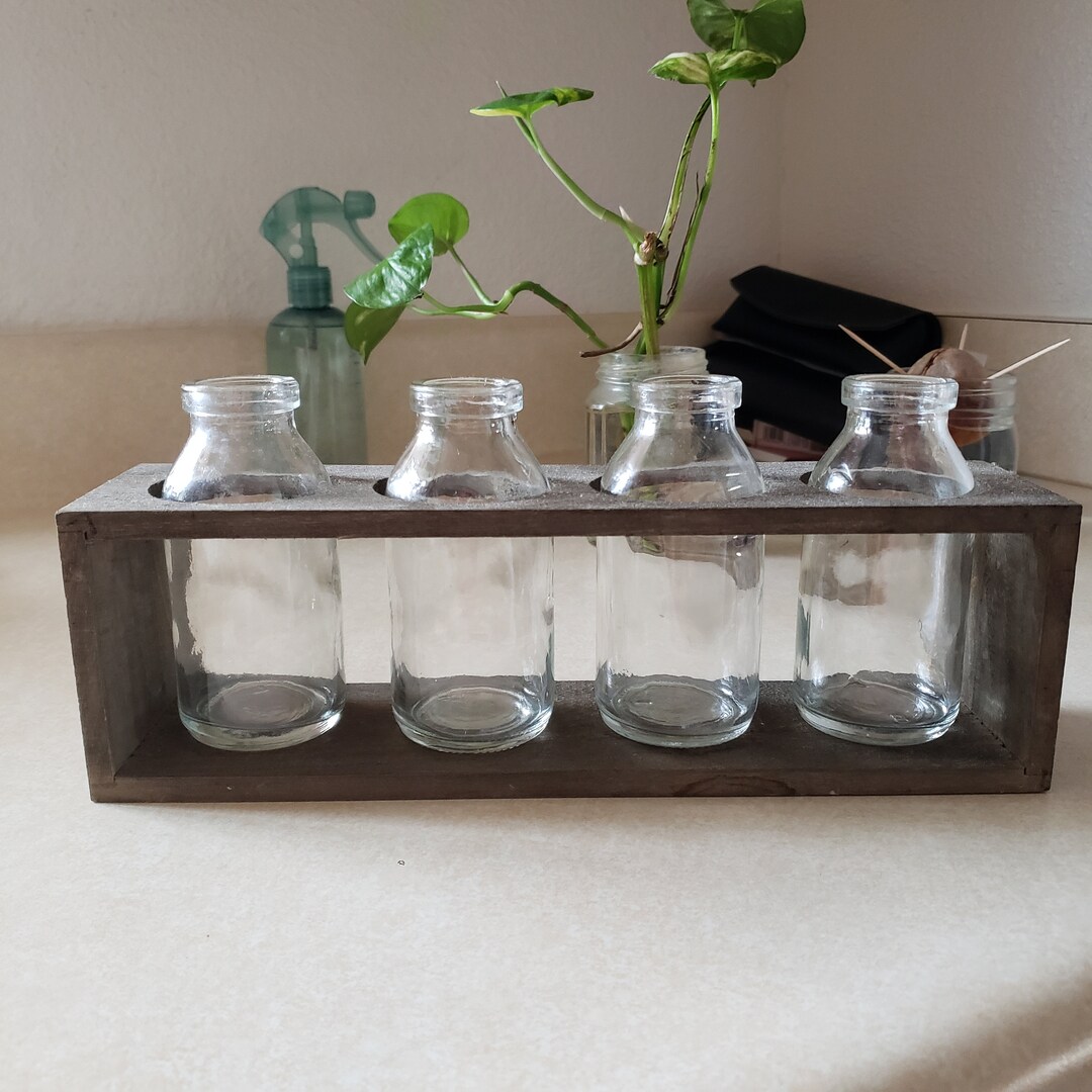 Flower Vases for Table Indoor Gardens Rooting Plants on Display Cottage ...