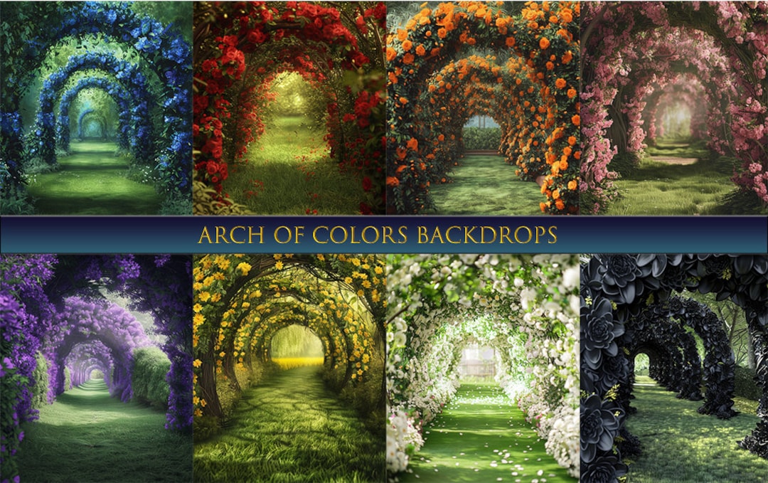 Arch of Colors Backdrop Background Digital Art, Beautiful - Etsy