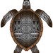 Tongan Turtle Tribal Pattern Digital Instant Download Svg Tribal Tongan ...