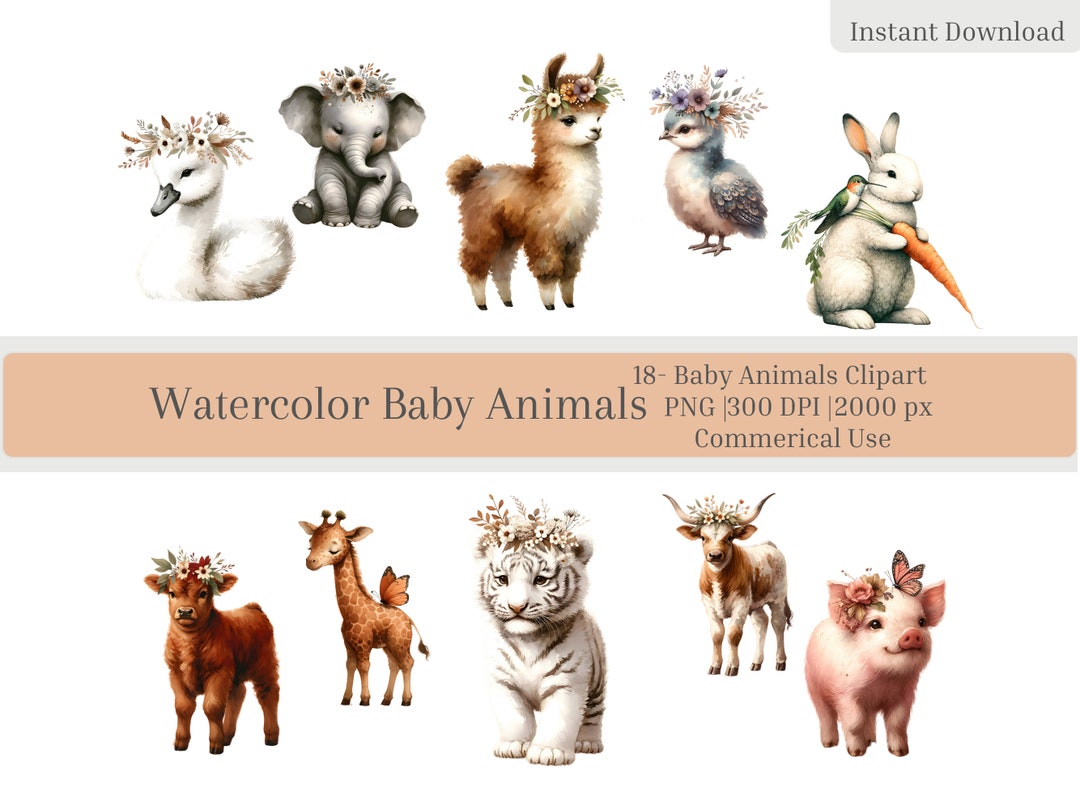 Watercolor Woodland Animal Clipart PNG Transparent Baby Animal Graphic ...