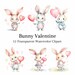 Valentine Bunnies Watercolor Clipart Set Transparent PNG Digital ...