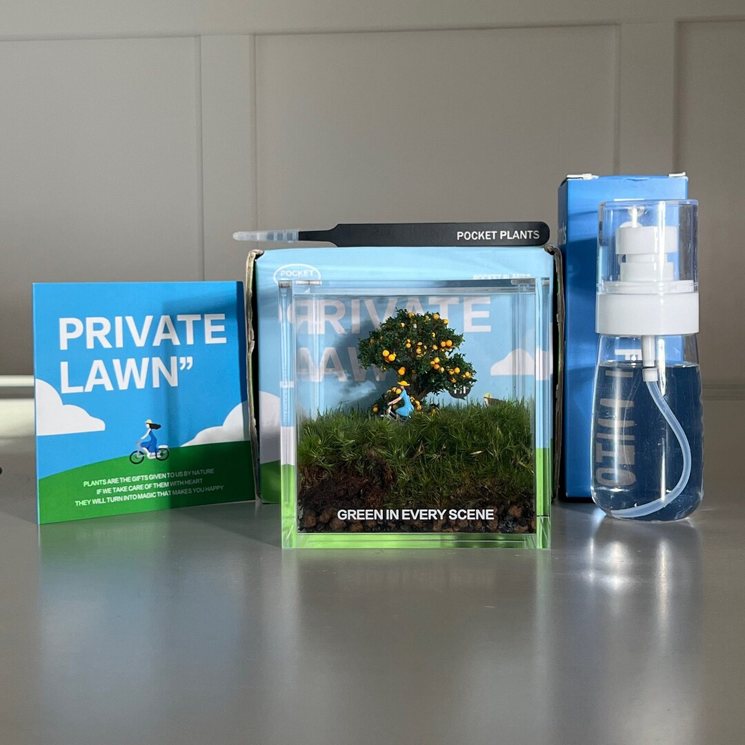 Moss Box Gifts desktop Toy Live Moss DIY Terrarium Kit - Etsy