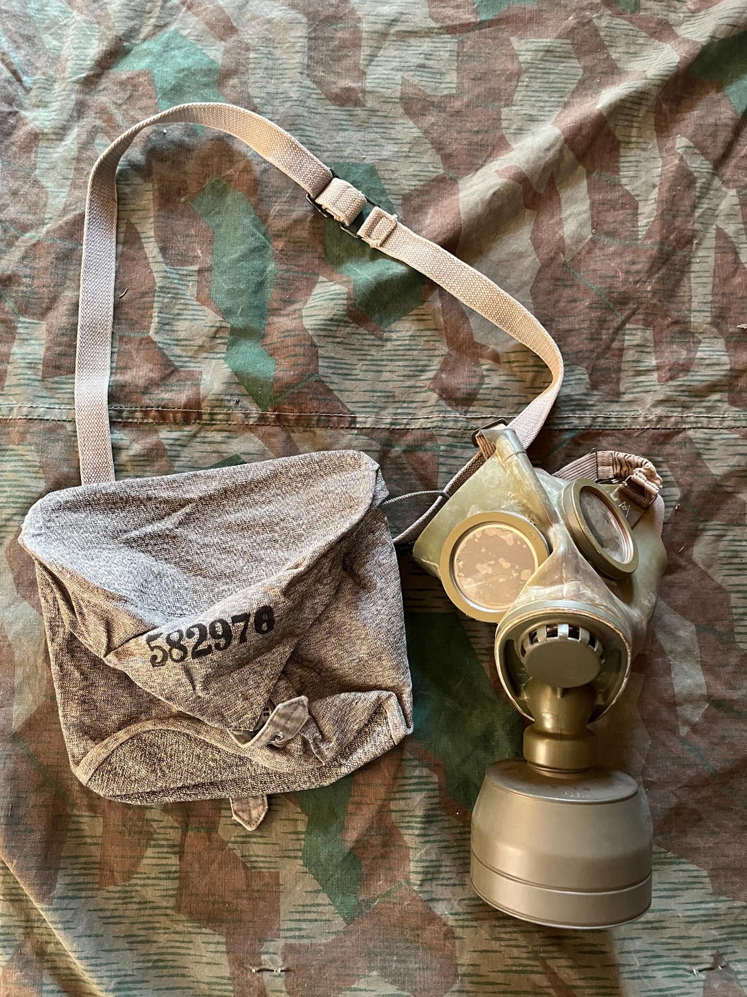 WW2 Swiss Army/civil Defense Gas Mask Complete Gasmask With Army Bag ...
