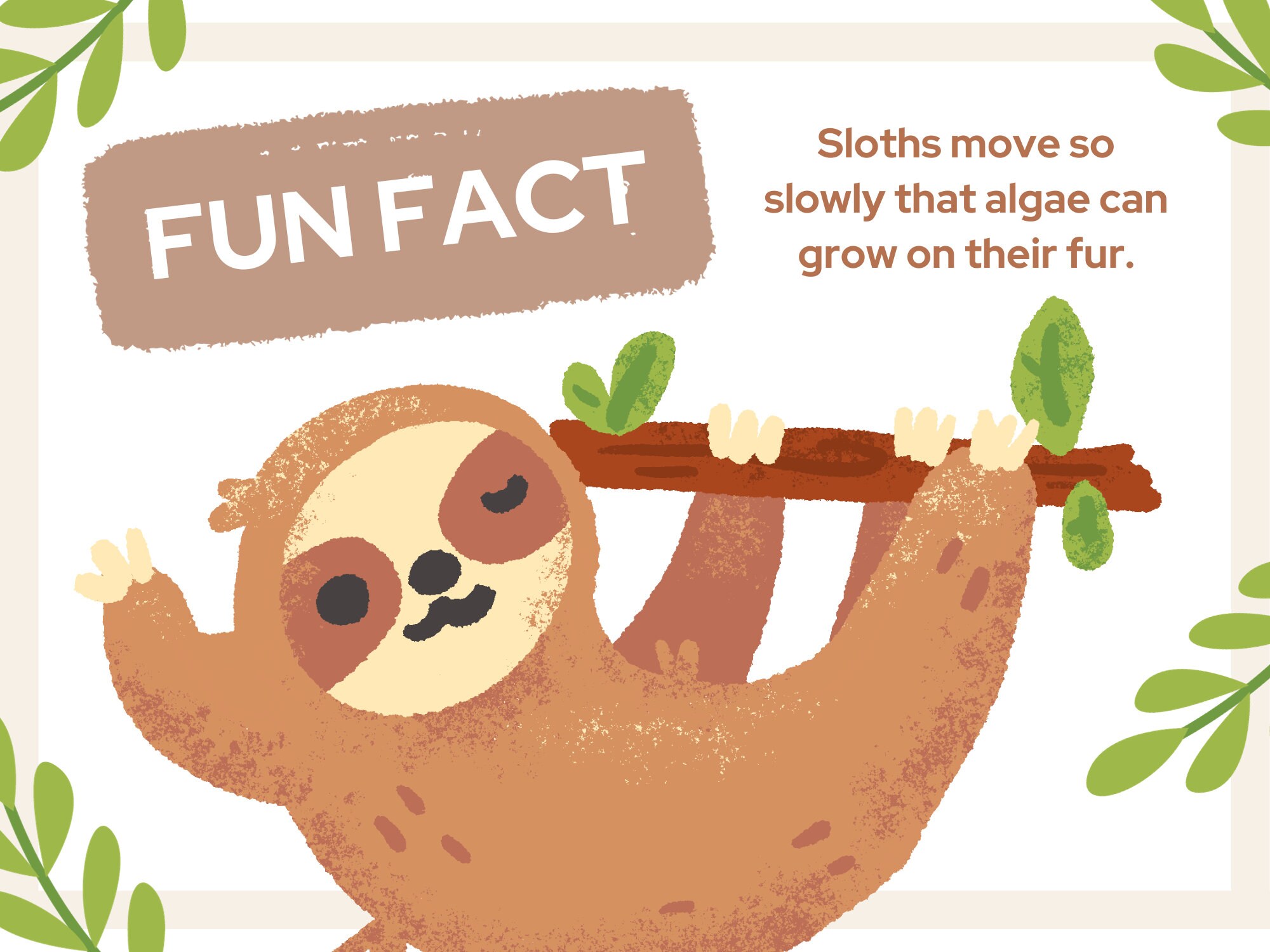 50 Animal Fact Poster, for Children Classroom Wall Decor Digital ...