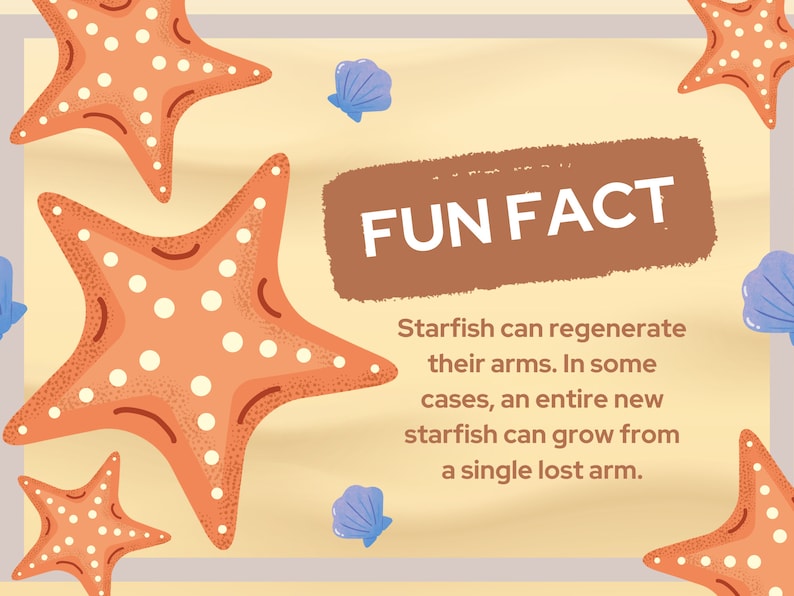 50 Animal Fact Poster, for Children Classroom Wall Decor Digital ...