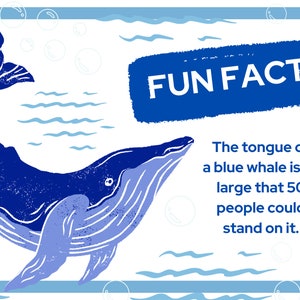 50 Animal Fact Poster, for Children Classroom Wall Decor Digital ...