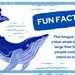 50 Animal Fact Poster, for Children Classroom Wall Decor Digital ...