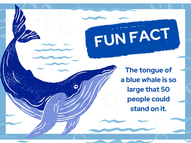 50 Animal Fact Poster, for Children Classroom Wall Decor Digital ...