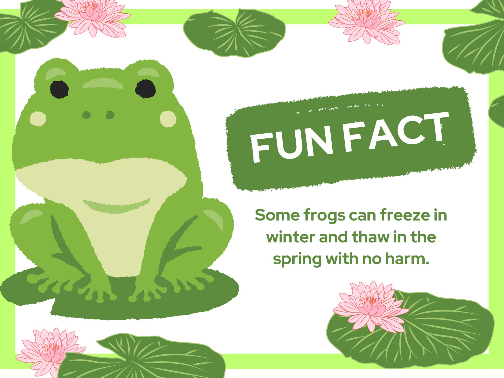 50 Animal Fact Poster, for Children Classroom Wall Decor Digital ...