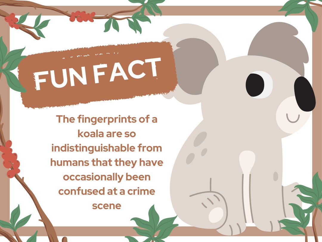 50 Animal Fact Poster, for Children Classroom Wall Decor Digital ...