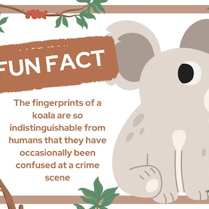 50 Animal Fact Poster, for Children Classroom Wall Decor Digital ...