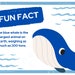 50 Animal Fact Poster, for Children Classroom Wall Decor Digital ...