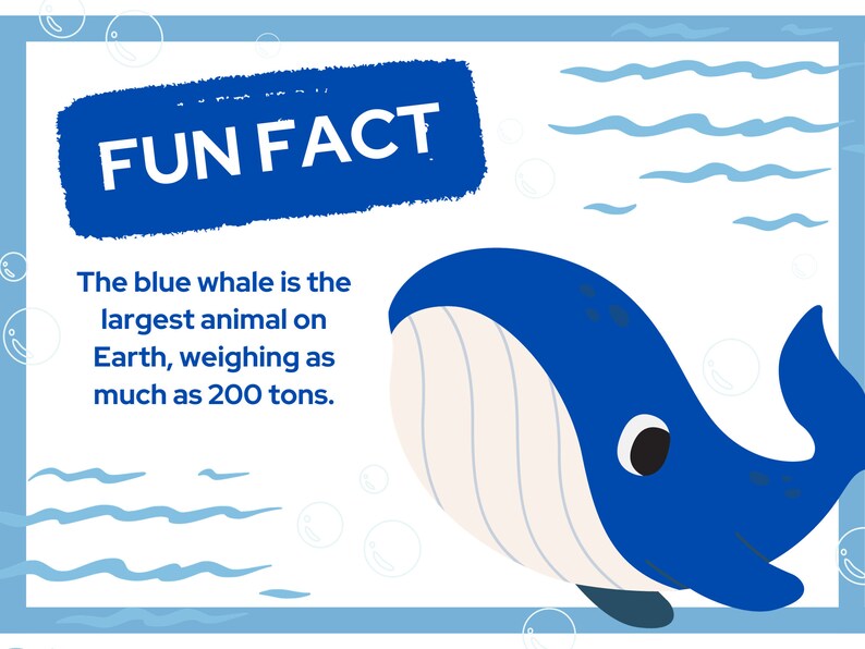 50 Animal Fact Poster, for Children Classroom Wall Decor Digital ...